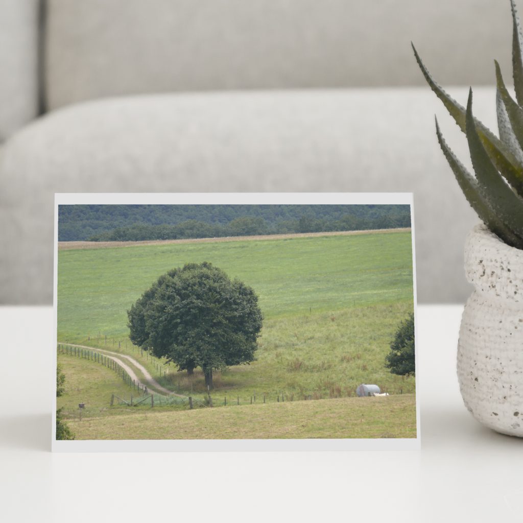 Lone Tree Greeting Card - Creative Prints - Shop Online