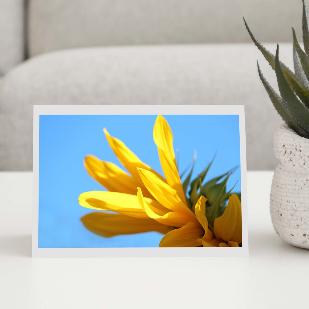 Yellow Flower Greeting Cards - Creative Prints